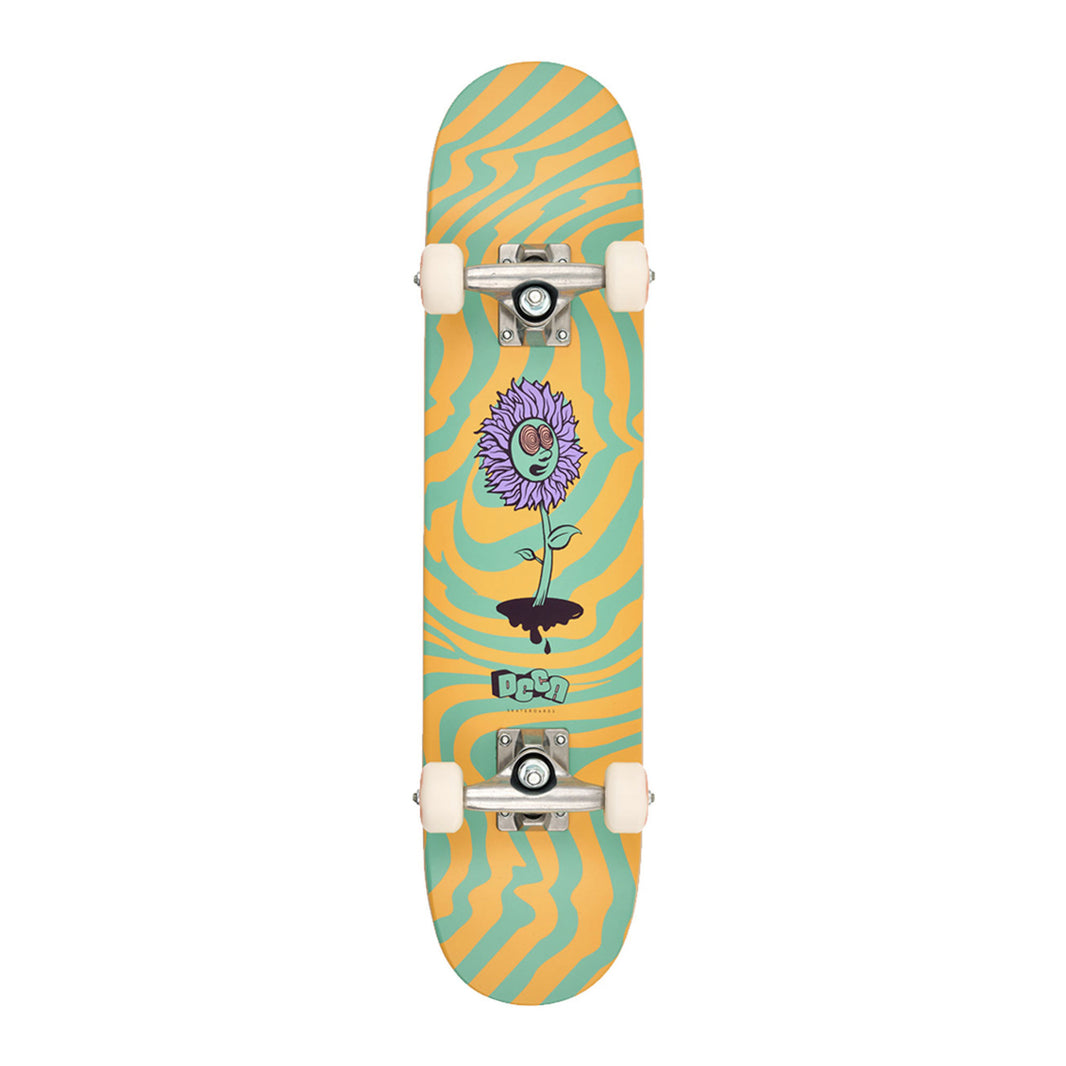 Complete Skateboards & Cruisers | Ready-to-Ride Setups | Beyond Skate